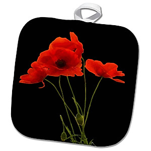 3dRose Delicate Red Poppies Floral Bouquet Isolated On Black - Potholders (PHL_353241_1)