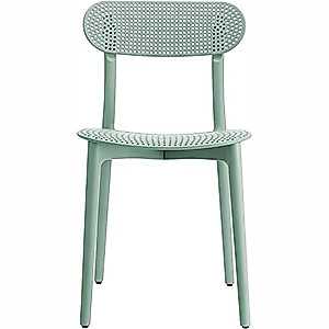ISL Furnishings- Zuho Modern Indoor Outdoor Chair (2, Smoked Green)