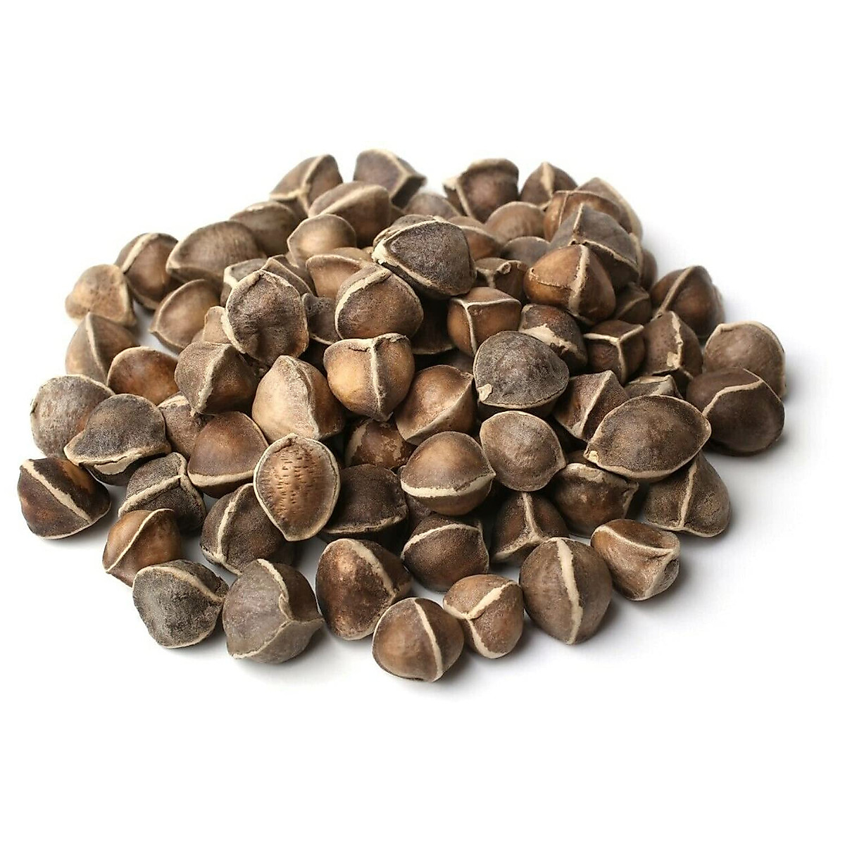 Moringa Seeds Wingless 1 lb. Wide Mouth JAR - PKM1 Variety - Edible Snacking - Planting - Moringa Oleifera - Malunggay - Semillas De Moringa - Drumstick Tree - Non-GMO - 1600 to 2000 Seeds