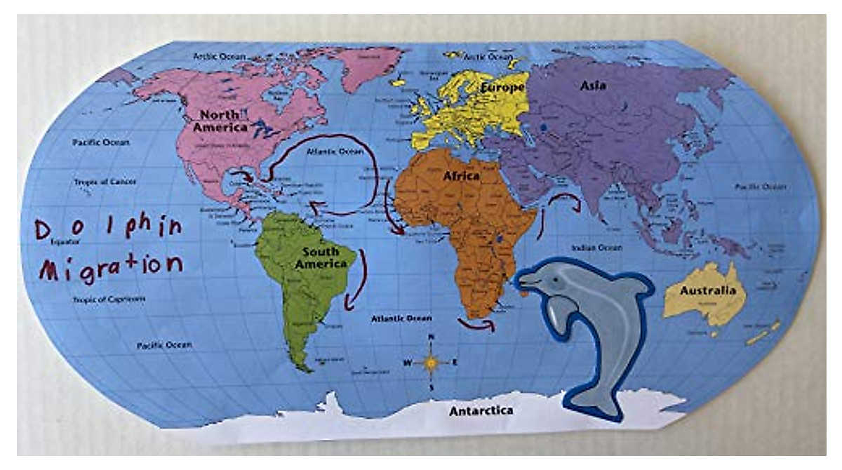 Labeled World Practice Maps - 30 Sheets for Learning