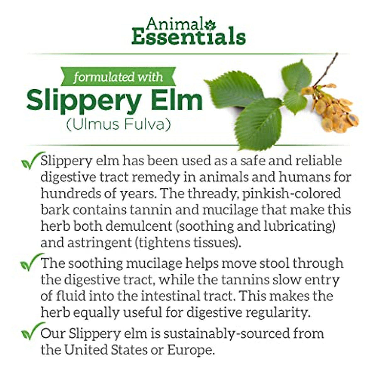 Animal Essentials Colon Rescue Herbal GI Support for Dogs & Cats, 2 fl oz - Made in USA Digestive Aid, Phytomucil Blend