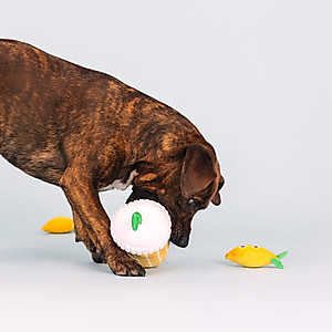 Fringe Studio Plush Dog Toy Set, Pucker Up, 3 Piece Set, Pet Shop Collection (312504)