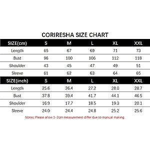 CORIRESHA Large Front NASA Logo Stripe Sleeve Hoodie Sweatshirt