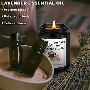 Funny Get Well Soon Gifts for Women Men, at Least You Don’t Have to Wear A Cone, Feel Better Gifts, Recovery Feel Better Gifts for Friend, Lavender Scented Candle