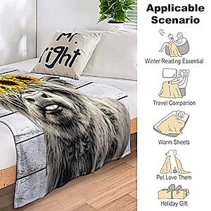 rumwall Highland Cow Blanket Sunflower Cow Flannel Throw Blanket for Living Room Couch Bed Sofa Kids Adults All Seasons 50"X40"