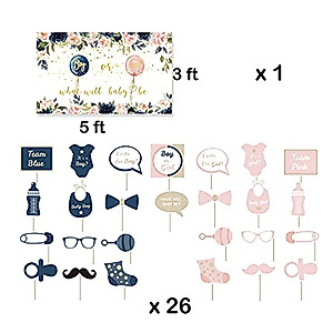 HEETON Blush Navy Gender Reveal Party Supplies Blue and Pink Girl or Boy Gender Reveal Baby Shower Balloons Party Baby Shower Decorations for Girl Boy Gender Reveal