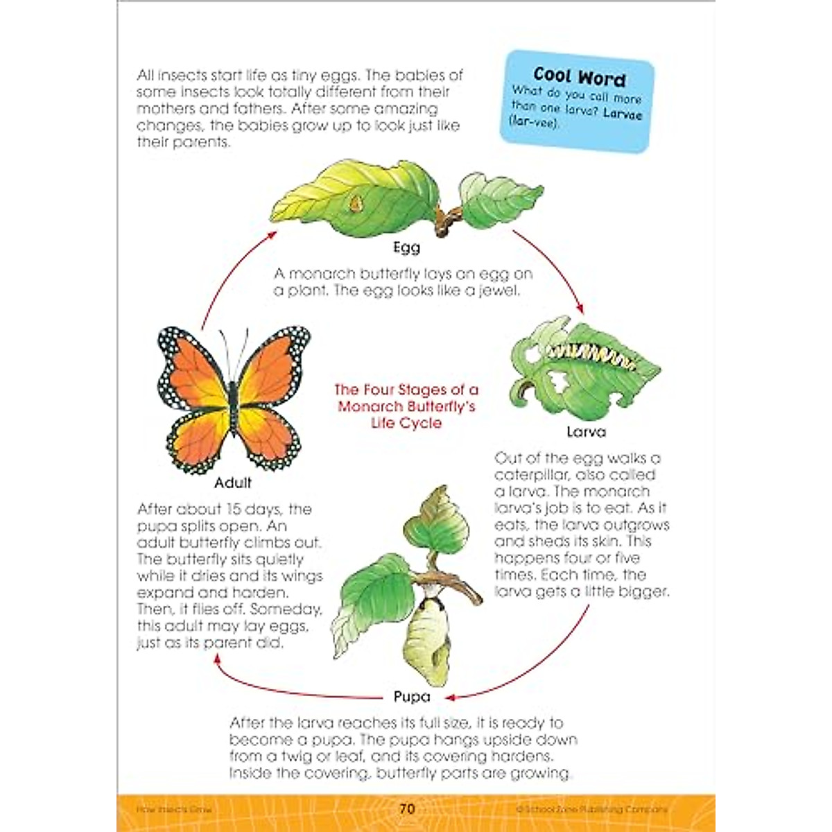 School Zone - Big Science Workbook - 320 Pages, Ages 7 to 9, 2nd Grade, 3rd Grade, Weather, Seeds, Plants, Insects, Mammals, Ocean Life, Birds, and More (School Zone Big Workbook Series)