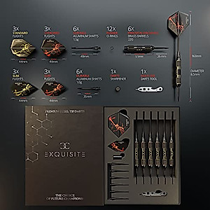CC-Exquisite Professional Steel Tip Darts Set - 6 x 22g Brass Barrels with 12 Flights Standard/Slim, 12 Aluminum Shafts 35/48mm, 12 O-Rings, Dart Tool, Dart Sharpener and Case (Black & Gold)