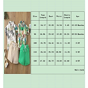 Hnyenmcko Infant Toddler Baby Boy Summer Clothes Short Sleeve Dinosaur Print Button Down Shirt Shorts Set Hawaiian Outfit (Dinosaur Brick Red, 18-24 Months)