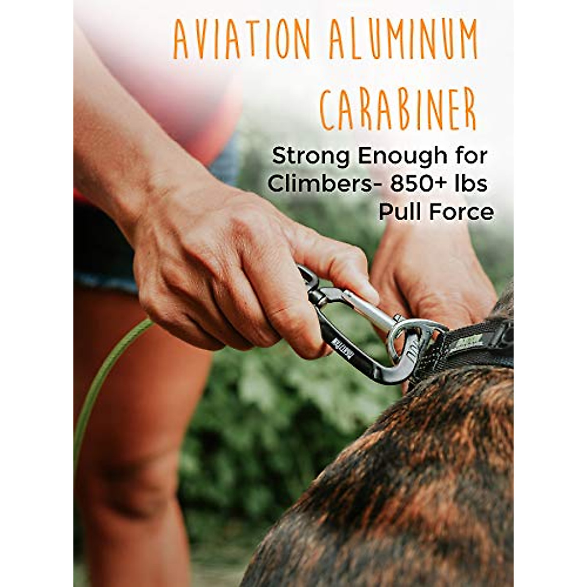 Mighty Paw Chew Proof Dog Leash - Six Foot Metal Cable Lead, Non Chewable Braided Cord with Padded Handle. Chew Resistant, Great for Large Dogs and Teething Puppies (Green)