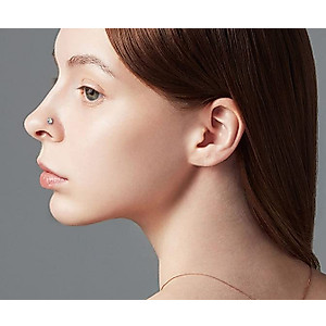 Anicina Nose Rings 18G Nose Rings Hoops Surgical Steel Nose Piercing Kit L Shape Nose Studs for Women CZ Heart Moon nose piercings Silver Nose Piercing Jewelry