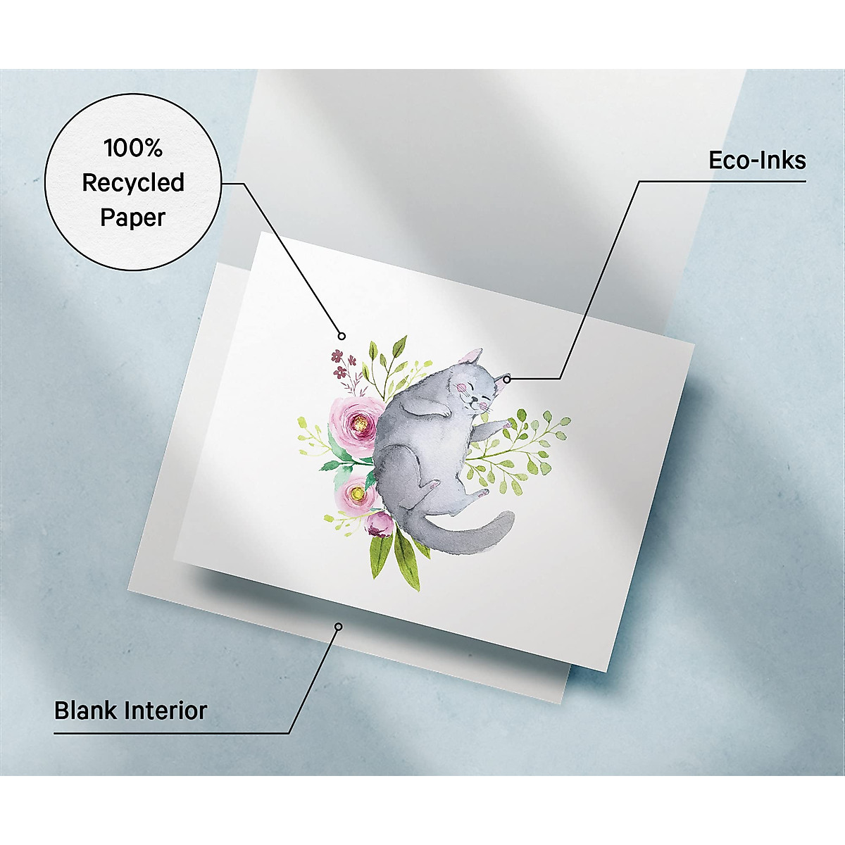 Twigs Paper - Assorted Cat Greeting Cards - Stationery Cards with Envelopes - Thank You Card - Blank Note Cards - Greeting Cards for All Occasions - Made in USA (5.5 x 4.25, Set of 12)