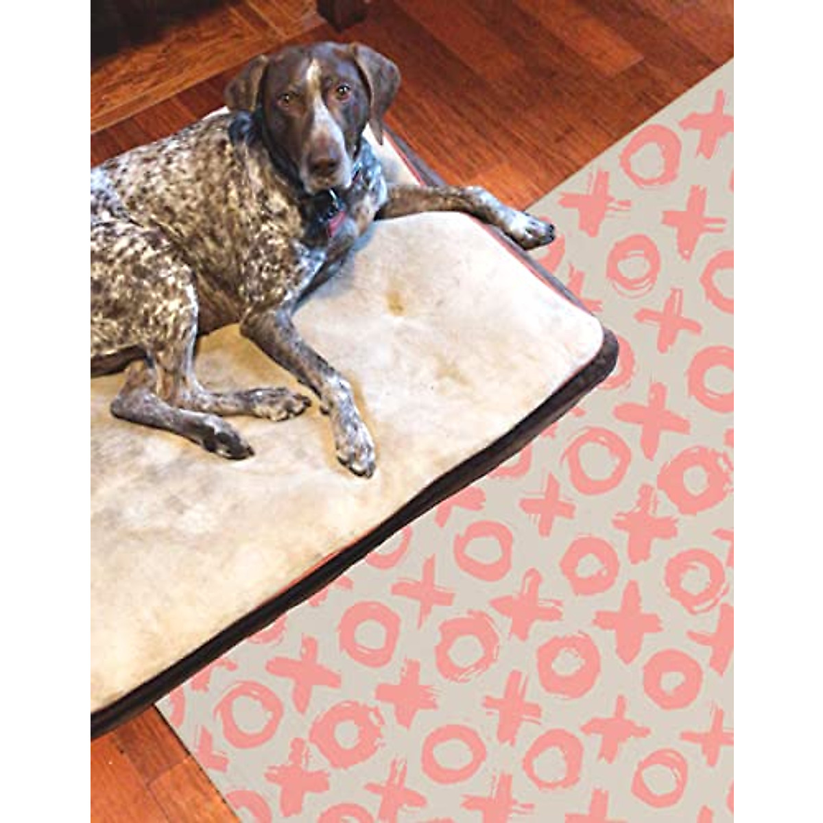 Linon Home Decor Products The Anywhere Washable Rug Boden Ivory & Pink 3' X 5' Accent Rug