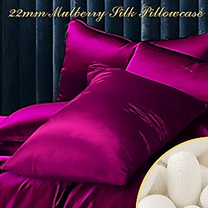 Smbeope 100% Mulberry Silk Pillowcase 2 Pack for Hair and Skin,with Hidden Zipper,Both Sides 22 Momme Natural Silk Pillow Cover,Soft Breathable & Smooth (Wine Red, Standard)
