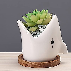 YONGYAN Cute Shark Flower Pot Statue Decoration Ceramics Garden Planters Containers Pot Bookshelf Office Desktop Decor