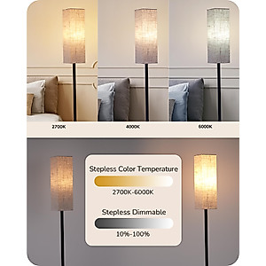 EDISHINE Modern Corner Floor Lamp, 65" Minimalist Pole Lamp with Remote, Dimmable Tall Reading Light for Living Room, Bedroom, Office, 9W LED Bulb Included (Black)