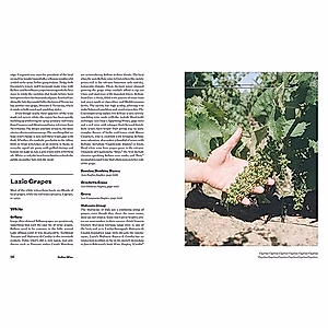 Italian Wine: The History, Regions, and Grapes of an Iconic Wine Country