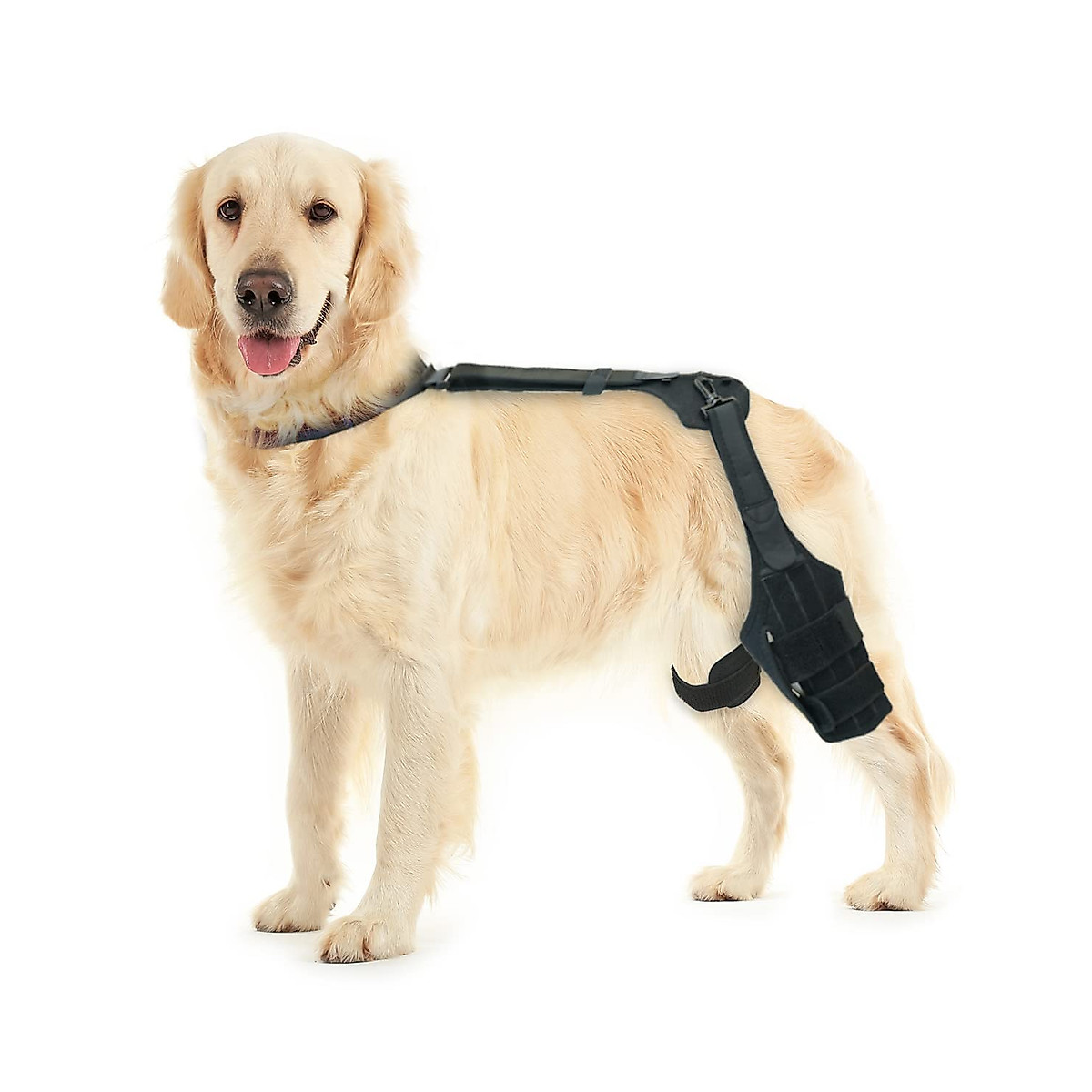 MerryMilo dog knee brace for torn acl hind leg -Upgraded Anti-Slip, Support for Cruciate Ligament Injury, Arthritis, Joint Pain, Muscle Sore, CCL Brace(Size: L, Left Leg)