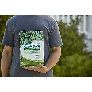 Scotts Turf Builder Grass Seed Tall Fescue Mix Grows Deep Roots for a Durable, Livable Lawn Resistant to Heat, Drought, 3lb.