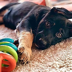 JW Pet Company Dogs iN Action Dog Toy, Small (Colors Vary), multicolor (43144)