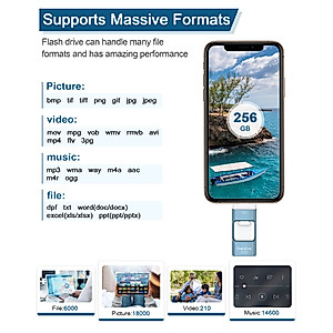 Sunany USB Flash Drive 256GB, Photo Stick Memory External Data Storage Thumb Drive Compatible for Phone, Pad, Android, PC and More Devices (Blue)