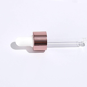 100ml/3.4oz Frosted Glass Dropper Bottles,2 Packs Essential Oil Dropper Bottles Perfume Sample Bottles Cosmetic Containers With Glass Eye Dropper (rose gold lids)