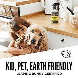 Aunt Fannie's All Purpose Wood Spray Cleaner, 16.9 Ounces, Lemon Scent (Pack of 1)