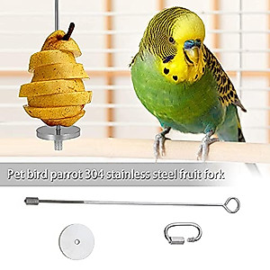 2X Parrot Skewer Bird Food Holder Stainless Steel 304 Parrot Fruit HolderToy Foraging Hanging Food Feed Tool Bird Cage Accessories