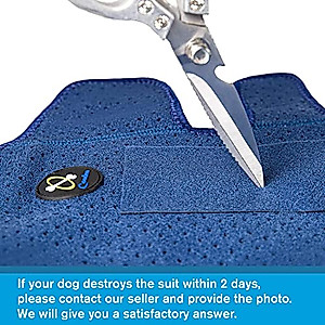 COODEO Dog Surgery Recovery Suit, Waterproof Recovery Suit for Dogs, Surgery Suit for Wounds Protect, Cone Alternative After Surgery, Dog Onesie for Surgery Female or Male (Blue, 2XL)