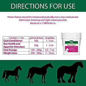 Power Stance Powdered Coconut Oil Horse Supplement - May Support Coat Condition, Digestive Health and Stamina, GMO & Sugar Free - 5 lb