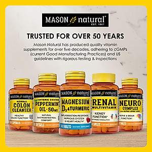 MASON NATURAL Ginkgo Biloba, 3 Month Supply, Helps to Improve Mental Alertness & Support Optimal Brain Function, 60 Capsules (3 Pack)