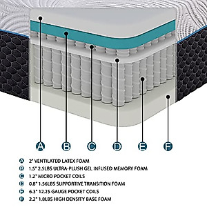 Lexicon Rischitelli 14-Inch Latex Micro Coil Hybrid Mattress, Queen, White