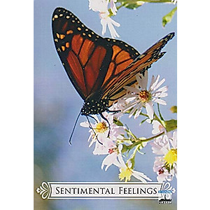 WSNLDY Tarot Cards Durable Destiny Divination Tarot Cards 44pcs Butterfly Tarot Oracle Cards, with Beautiful Painting for Family, Party and Entertainment