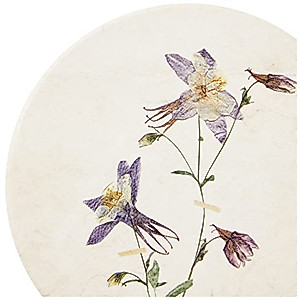 CoasterStone AS459 Drink Coasters, 4.25", Pressed Flowers