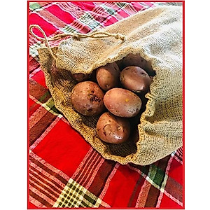 BAGTAK Burlap Bags with Drawstring 17 3/4" x 23" Burlap Sack (2 PACK) - Multi-Purpose Burlap - Gift Bags - Potato Bag - Storage Bag - Arts & Crafts - Ships from USA (2)