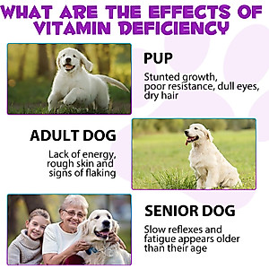 15 in 1 Dog Multivitamin Drops for Dogs - Dog Vitamins & Supplements Natural Dog Multivitamins and Minerals - Glucosamine, MSM for Skin & Coat, Heart Health, Bones, Joint, Immune System Support