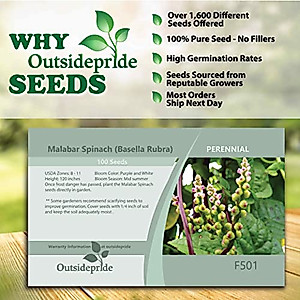 Outsidepride Basella Rubra Malabar Spinach Climbing Vine Herb Garden Plants - 100 Seeds