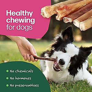 Willow&I Bully Sticks for Small Dogs & Medium - 6 Inch Bully Sticks for Dogs (6 Pack), Premium 100% Grass Fed Beef Pizzle Sticks for Dogs, Healthy Long Lasting Dog Chew Sticks All Natural Dog Treats