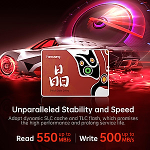 fanxiang S100 SATA III SSD 256GB 2.5" 6Gb/s Internal Solid State Drive 3D NAND TLC, Compatible with Laptop/Desktop for Gaming, IT Pros, Everyday Users
