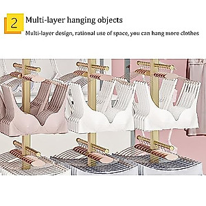 Floor-Standing Bra Rack, Creative Gold Underwear Shorts Nakajima Shelf, Clothing Store Combined Shelf, Shopping Mall Swimsuit Socks Display Stand