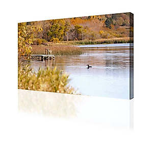 Large Wall Art Loon on a Lake Painting Poster Print on Canvas Artwork for Living Room Bedroom Stretched and Framed Ready to Hang 20”x40”