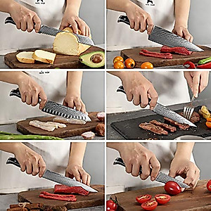 Kitchen Damascus Knife Set, WanRui Series 9-Piece Kitchen Knife Set with Block, Non-slip ABS Ergonomic Triple Rivet Handle for Chef Knives, Sharpener and Shears, Natural Wood Block (Updated Version)