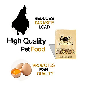 Fowl Treats Naturally Fortified Treats – Protein Rich Supplement Suitable for Chickens, Hens and Ducks, Hand Mixed with USA Grown Ingredients – Equinox Blend – 32oz