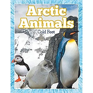 Arctic Animals (Cold Feet)