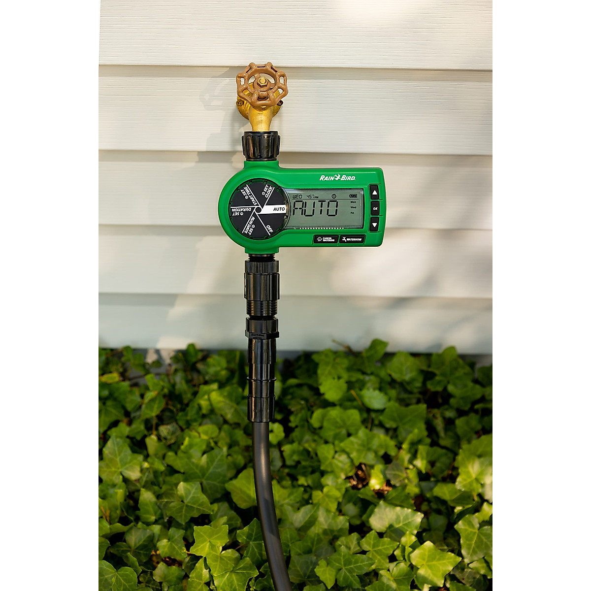 Rain Bird 1ZEHTMR Professional Grade Electronic Digital Hose End Timer/Controller, One Zone/Station, Battery Operated