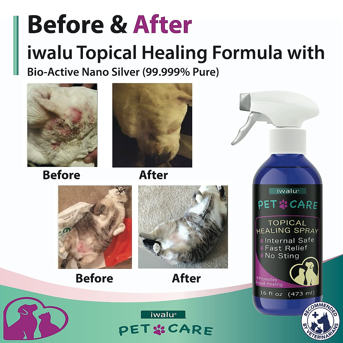 Allergy Medication For Dog Cat Itchy Skin Relief Dog Skin And Coat Supplement Anti Itch Relief Anti Hot Spot Paw Cleaner Soother Treatment Best Dog Moisturizer For Dry Skin Pet Wound Care Spray (16oz)