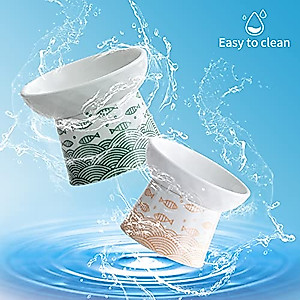 Ceramic Raised Cat Bowls, Elevated Tilted Cat Food and Water Bowl Set, Porcelain Stress Free Pet Feeder Dish for Cats and Small Dogs, Dishwasher and Microwave Safe, Set of 2