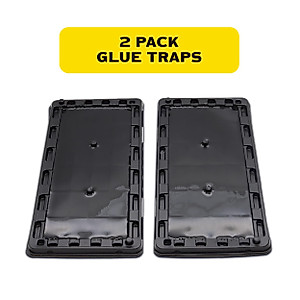 Pic GT2 Glue Rat Tray, 2-Pack