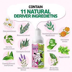 SnowBuddy Foam Toothpaste Kids - Mint Flavors - 1 Pack, Anti Cavity with Low-Fluoride, for u-Shape Toothbrush and Mouthwash for Dental Care