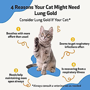 Pet Wellbeing Lung Gold for Cats - Vet-Formulated - Lung & Respiratory Immune Support, Open Airways, Easy Breathing - Natural Herbal Supplement 2 oz (59 ml)